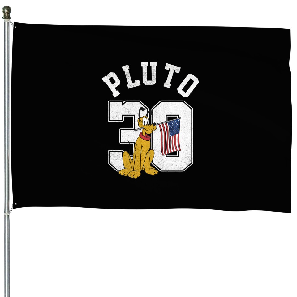 Disney Mickey And Friends Pluto American Flag Collegiate House Flags ...
