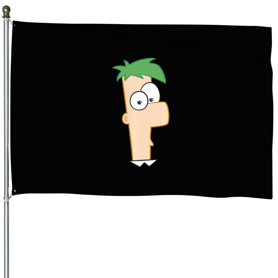 Disney Phineas And Ferb Large Ferb Face House Flags | ID 22824148 by ...
