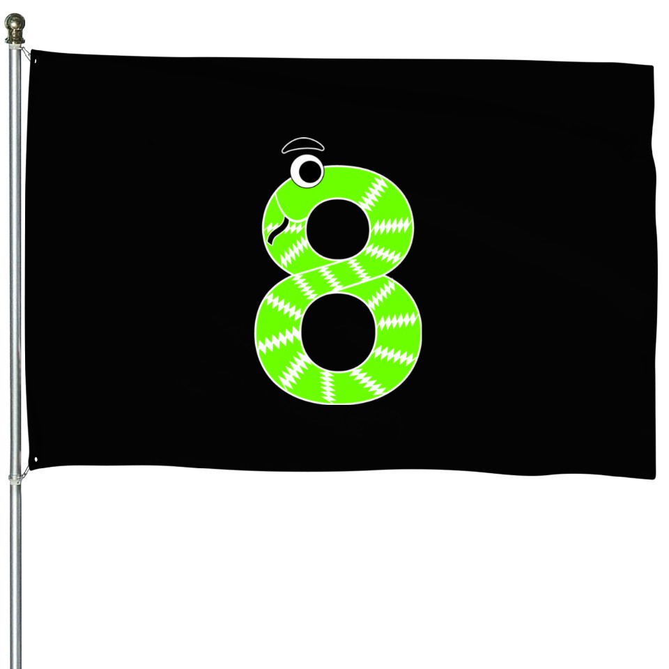 Number Eight 8 Children Birthday Learning Snake House Flags | ID ...