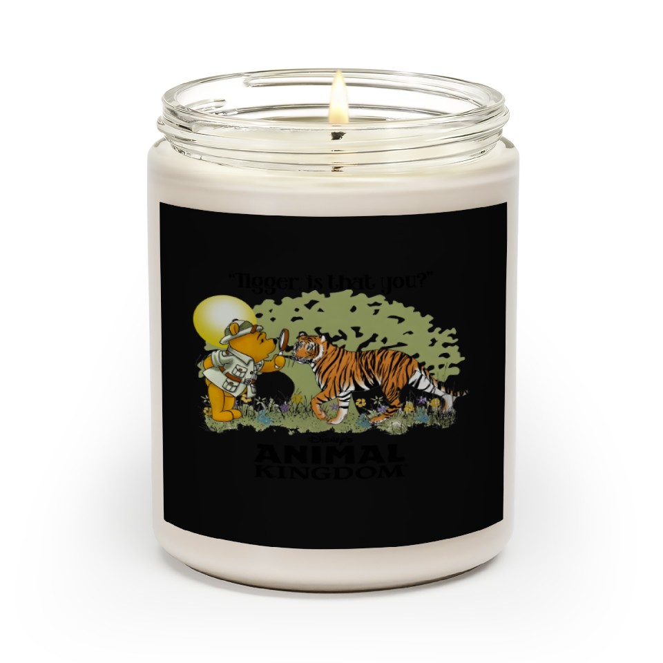 Disneyland Animal Kingdom Winnie The Pooh Scented Candles | ID 20688558 ...