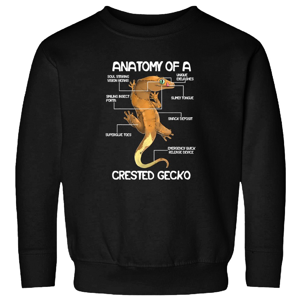 Bearded Dragon Gecko Bearded Dragon Anatomy of a crested gecko ...