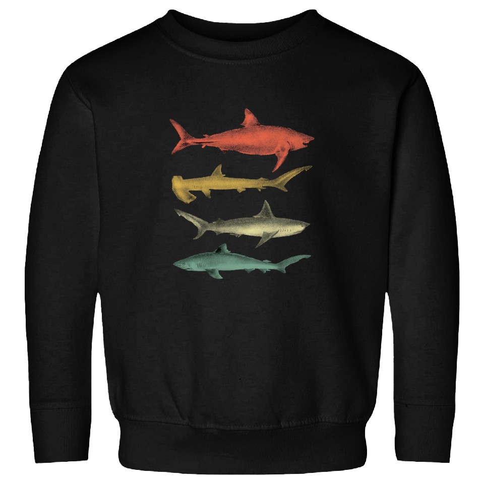 Ocean Shark Types Of Sharks Great White Tiger Bull Hammerhead Shark Sea ...