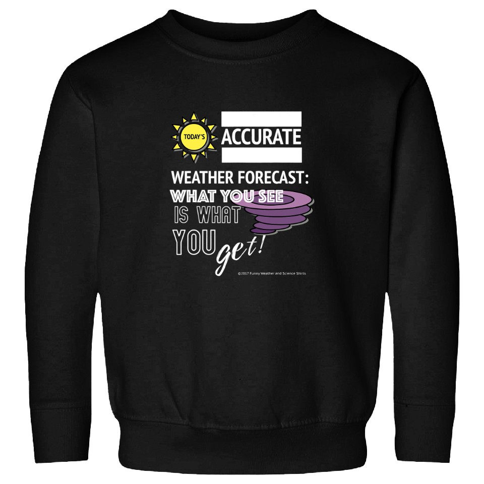 Funny Weather Forecast for Meteorologist Science Sweatshirts | ID ...