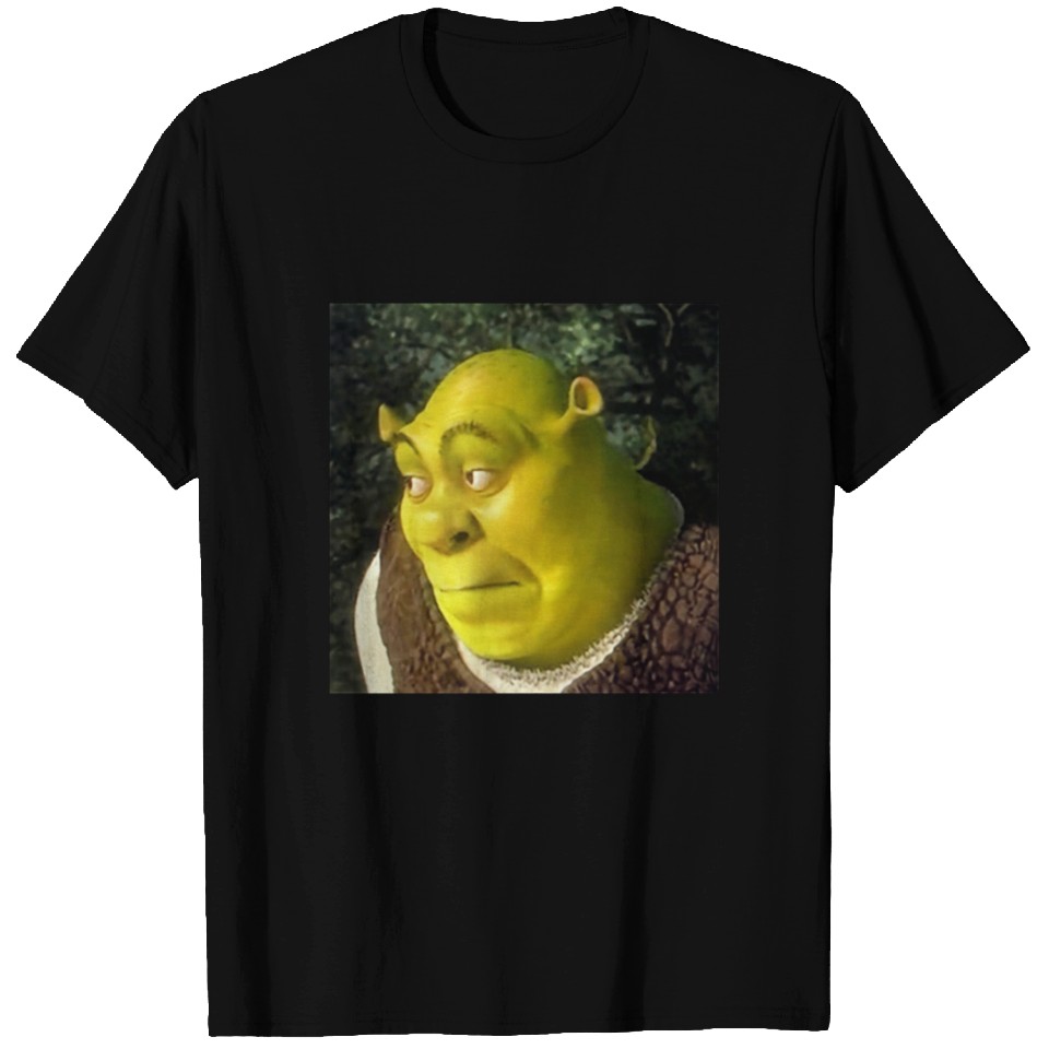 Shrek Face Meme : Shrek Same Swamp Forever , Shrek Shirt, Disney Fiona ...