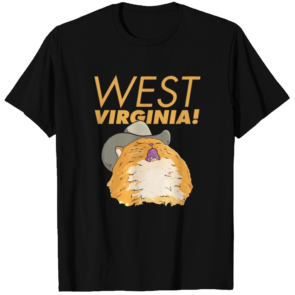 Funny Country Cat Singing Country Music Meme T Shirts | ID 17734425 by ...